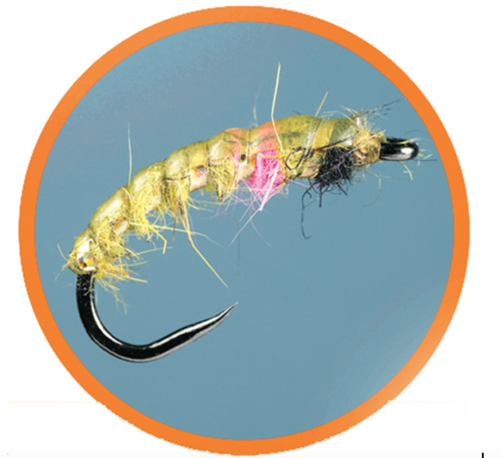 Czech Nymph hot spot