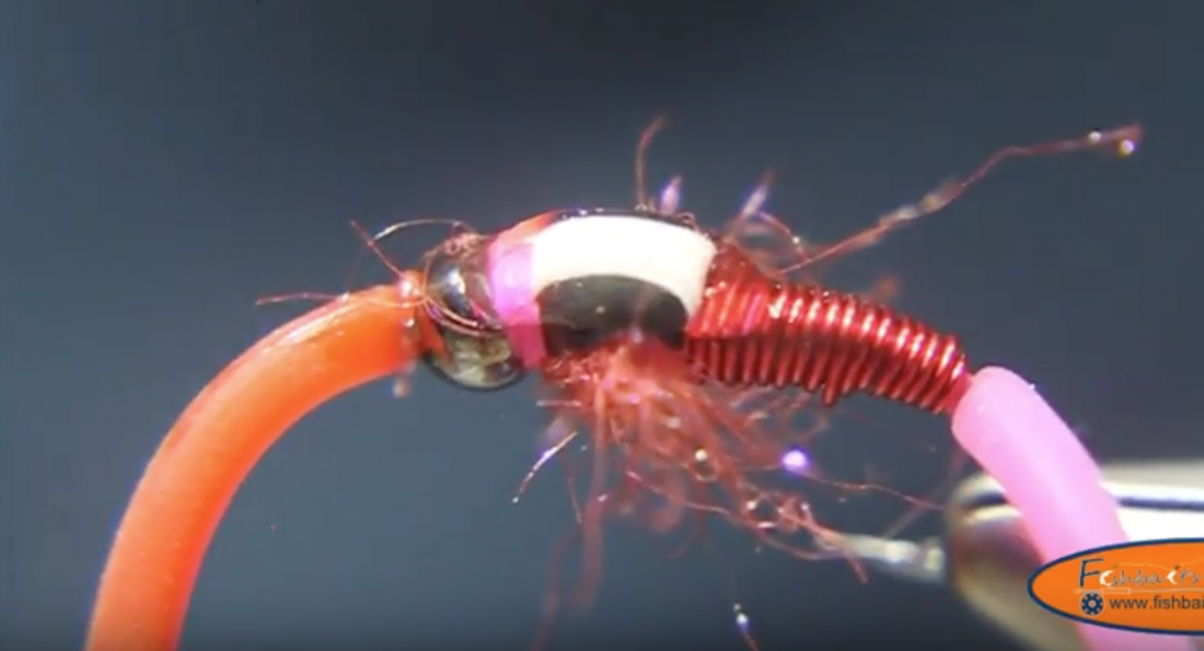 Squirmy wormy et Jelly Worm