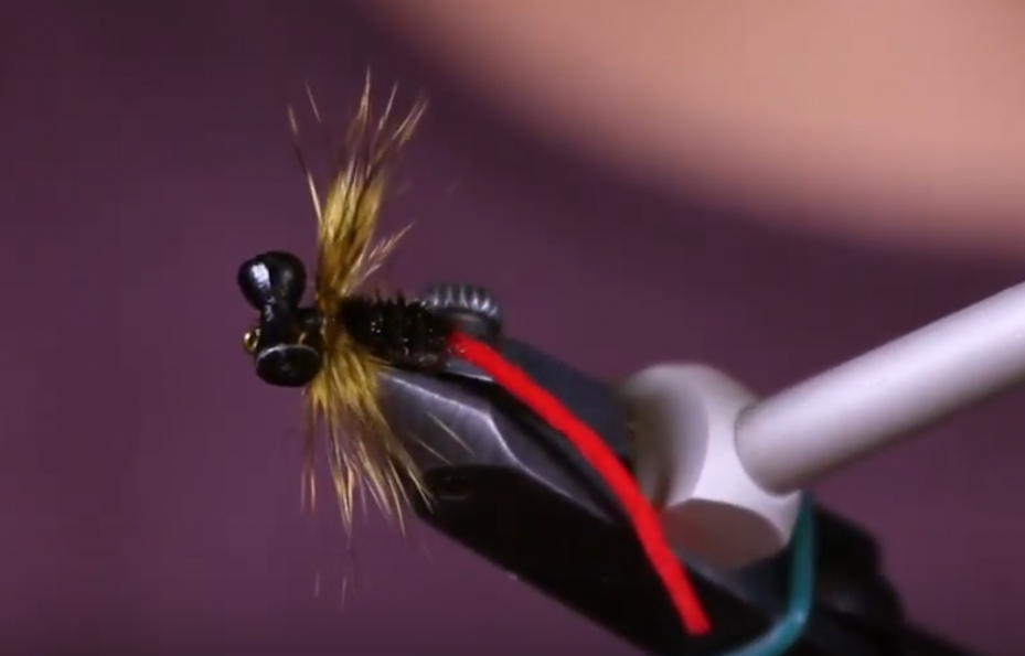Hybrid Carp Fly